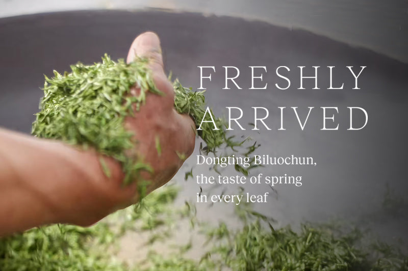 Buy Tea & Luxury Tea Gift Sets Online • JSY TEA – jsytea